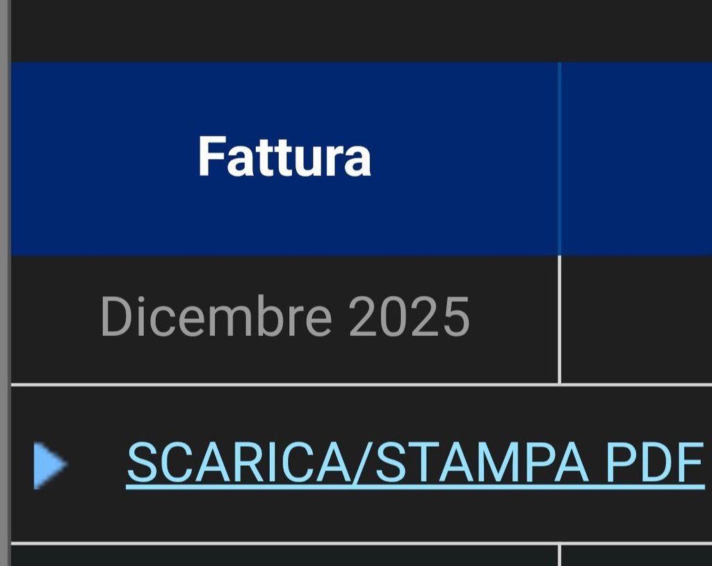 Fattura dicembre 2025 : Pagina 2 - FibraClick Forum